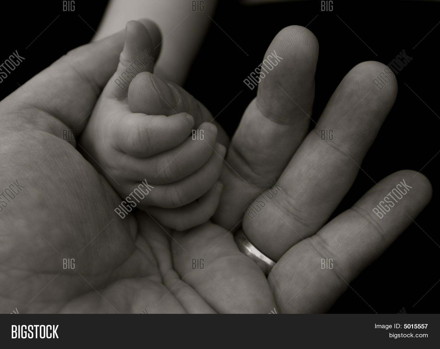 Babys Grip On Fathers Image & Photo (Free Trial) | Bigstock
