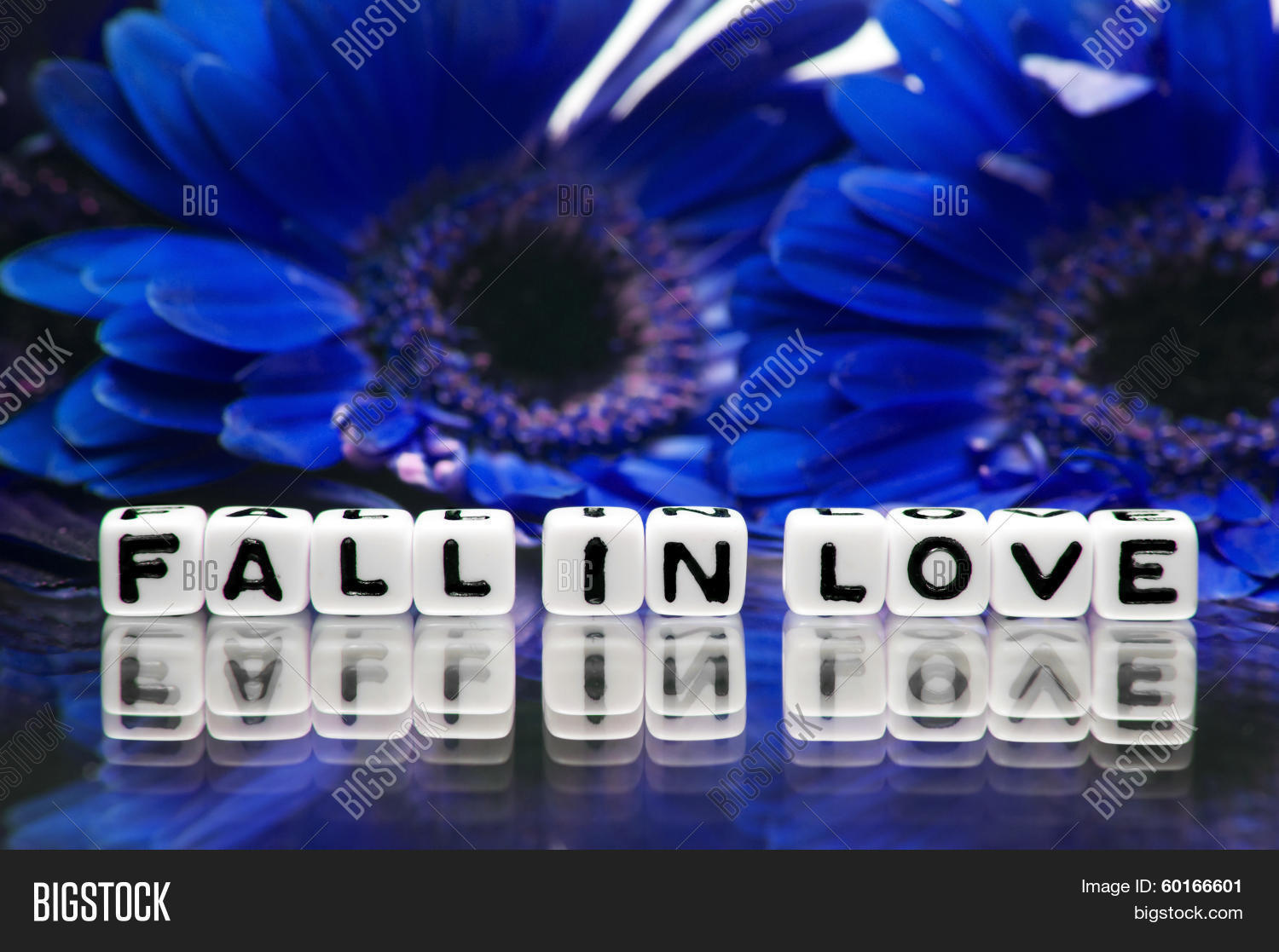Blue Theme Fall Love Image & Photo (Free Trial) | Bigstock