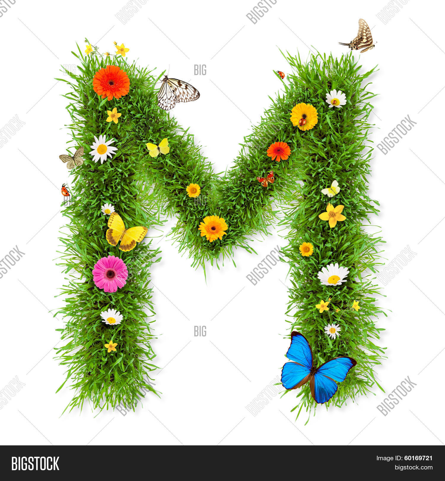 Fresh Grass Letter "M Image & Photo (Free Trial) | Bigstock