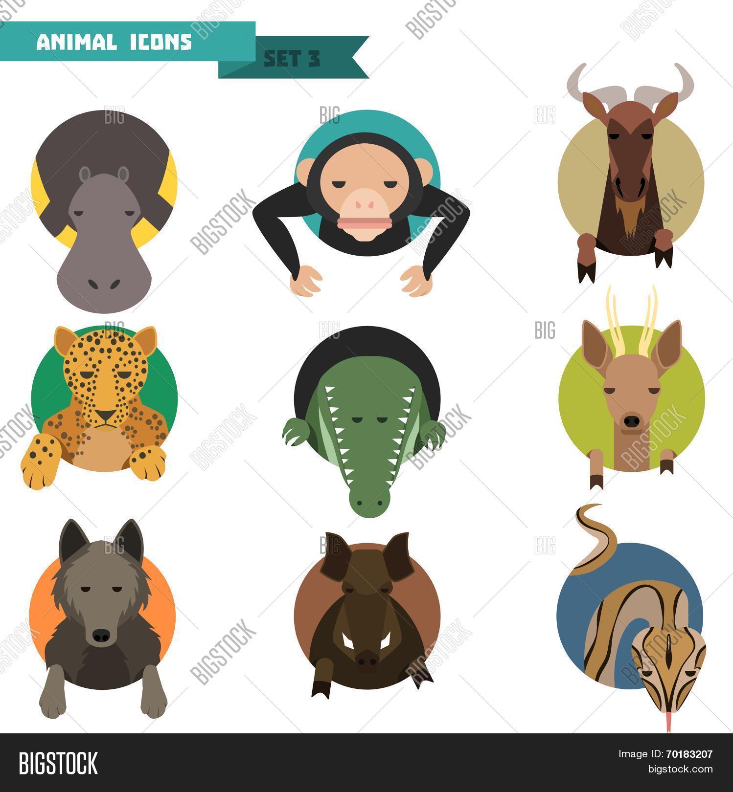 Animal Avatars. Vector & Photo (Free Trial) | Bigstock