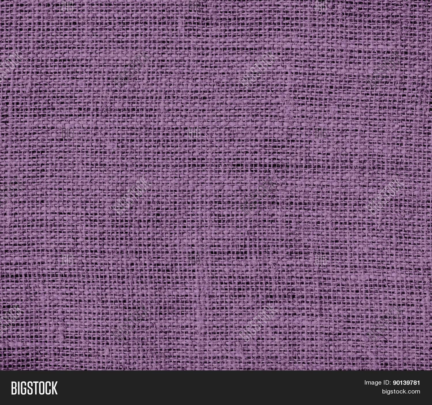 Chinese Violet Color Image & Photo (Free Trial) | Bigstock