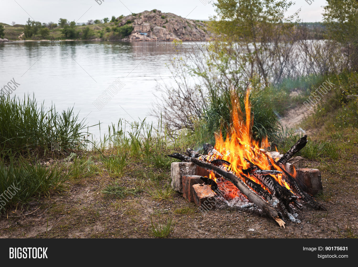 Bonfire Spring Forest Image & Photo (Free Trial) | Bigstock