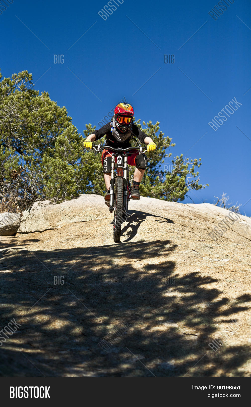 Downhill Bike Rider Image & Photo (Free Trial) | Bigstock