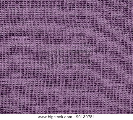 Chinese Violet Color Image & Photo (Free Trial) | Bigstock