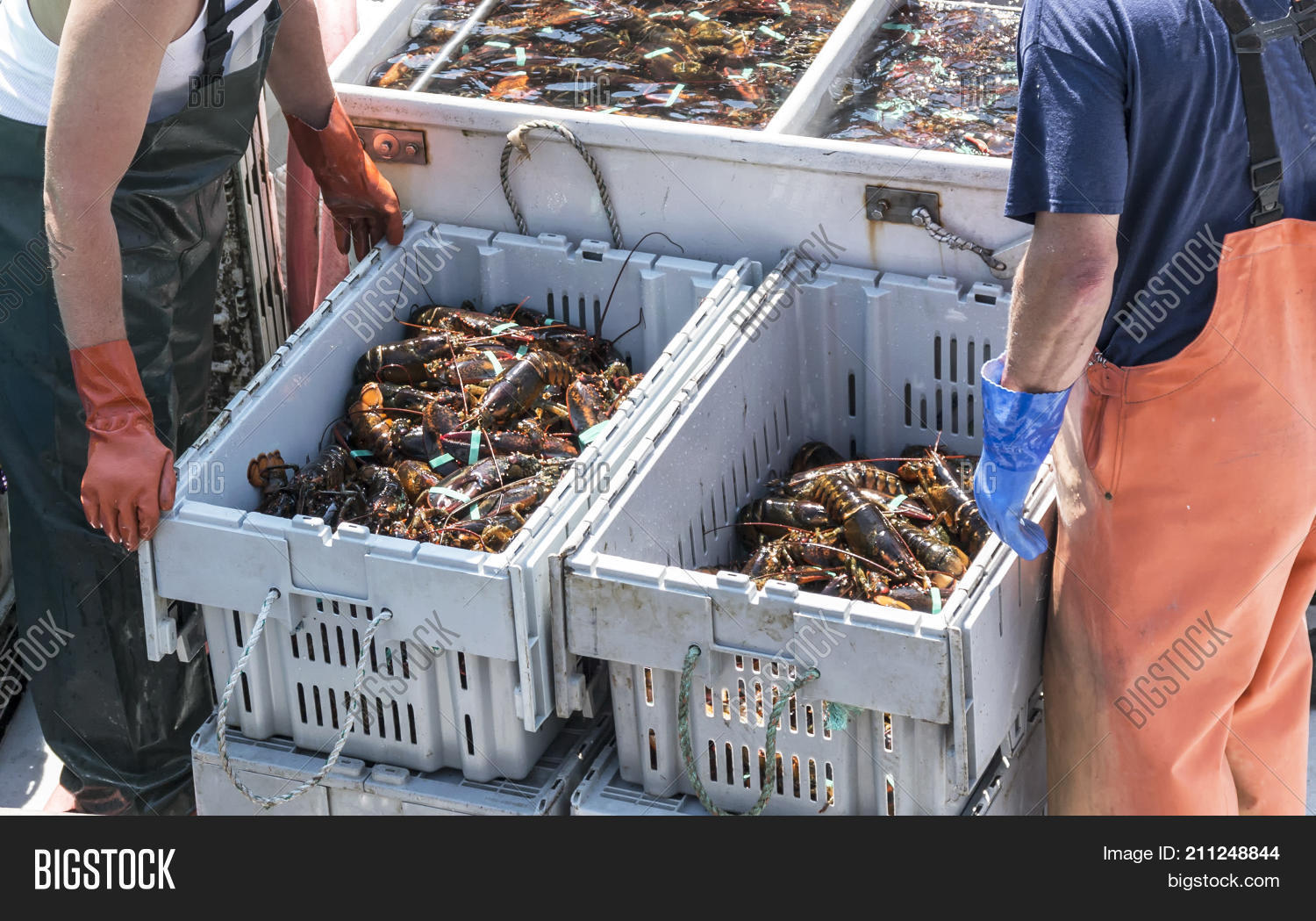 Two Lobster Fishermen Image & Photo (Free Trial) | Bigstock