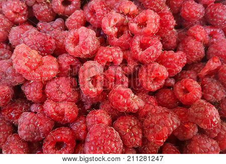 Raspberry Fruit Image & Photo (Free Trial) | Bigstock