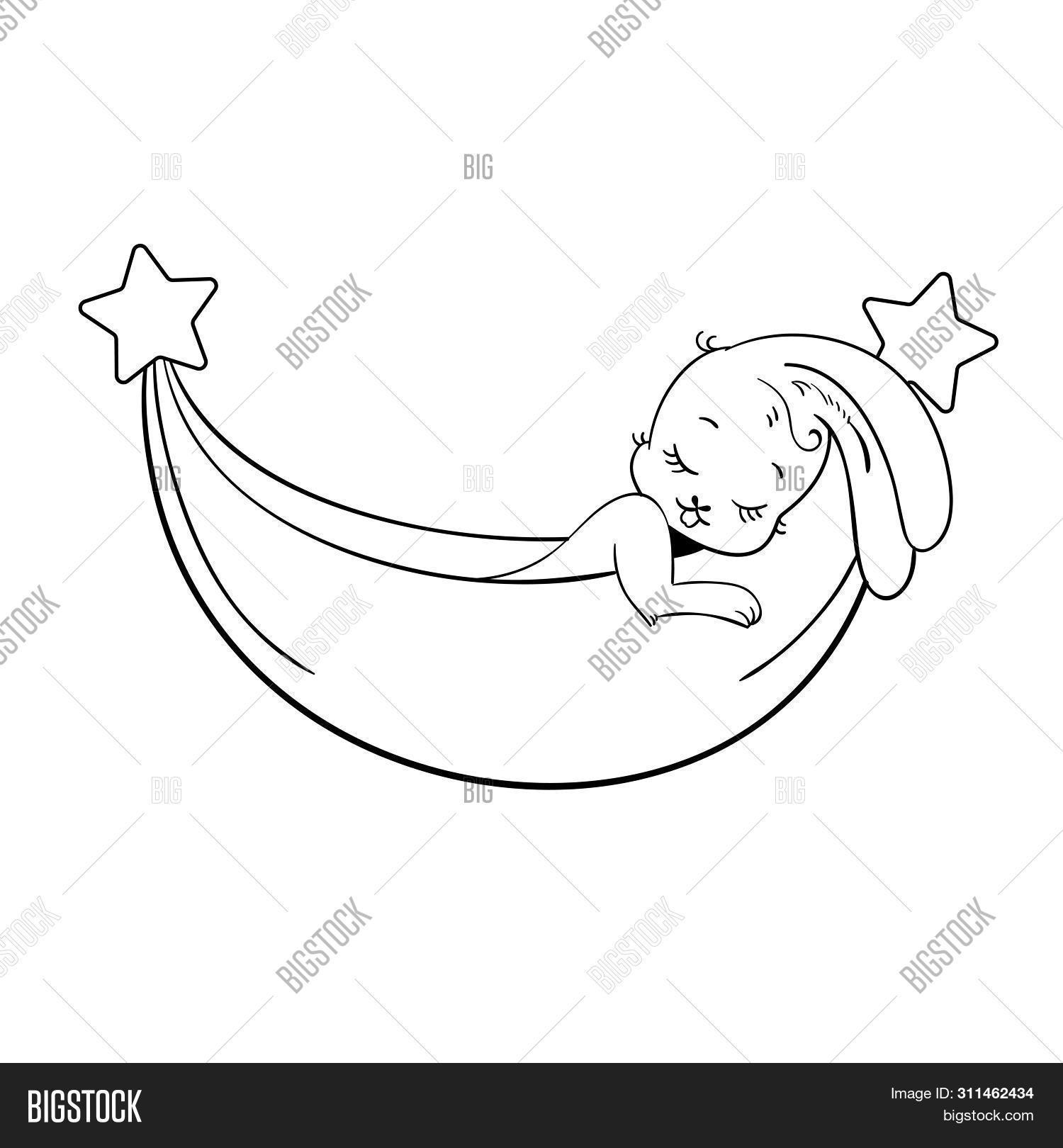 Baby Rabbit Sleeping Image & Photo (Free Trial) | Bigstock