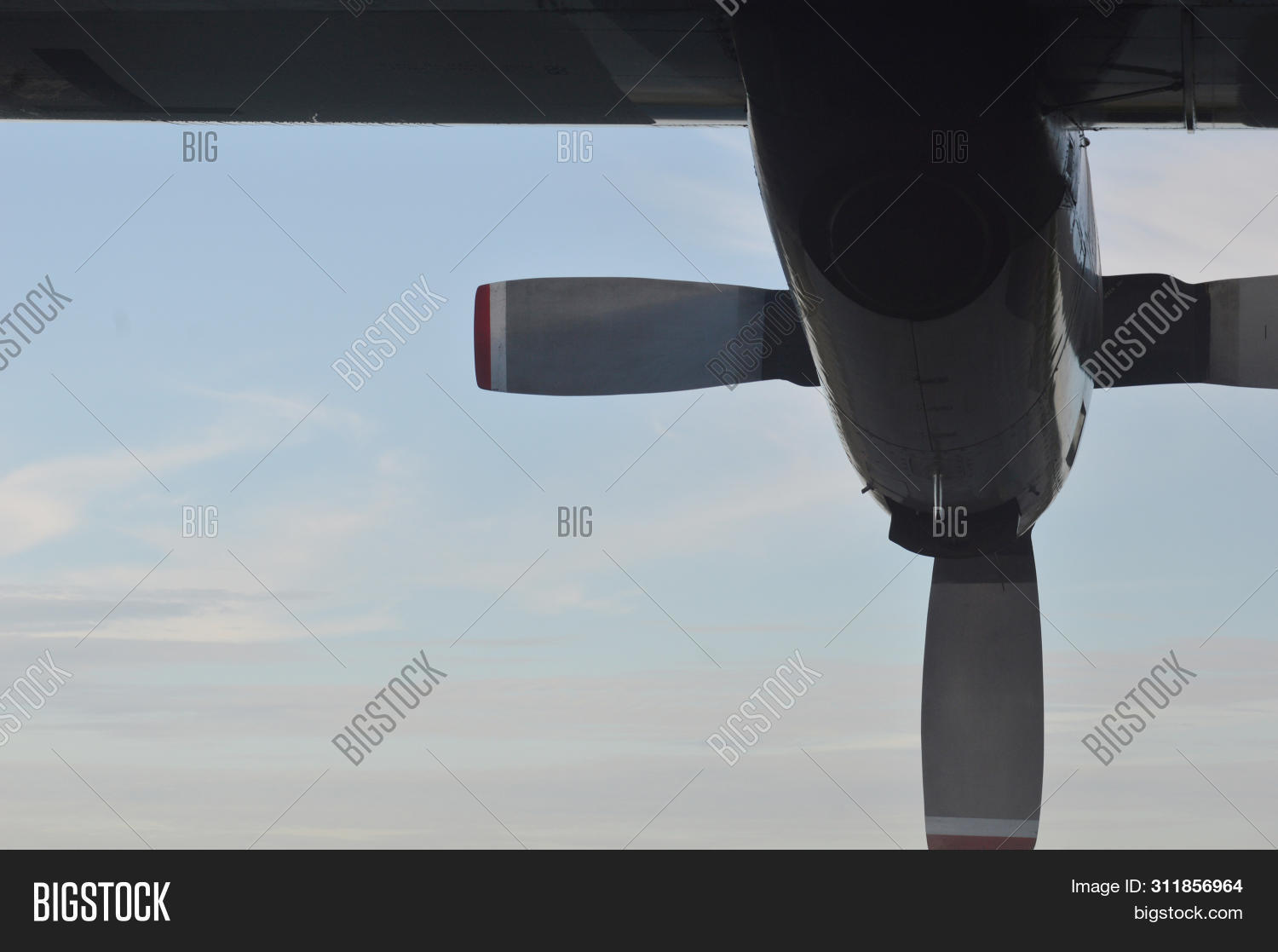 Static Show Sukhoi Image & Photo (Free Trial) | Bigstock