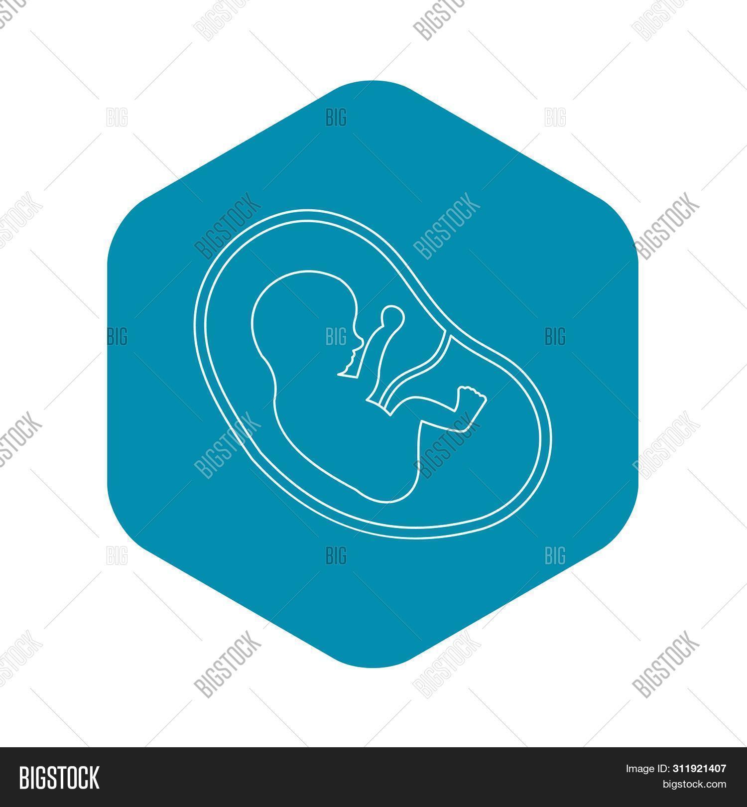 Baby Womb Icon. Image & Photo (Free Trial) | Bigstock