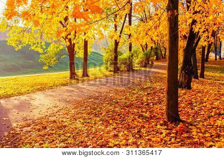 Autumn Landscape Images, Illustrations & Vectors (Free) - Bigstock