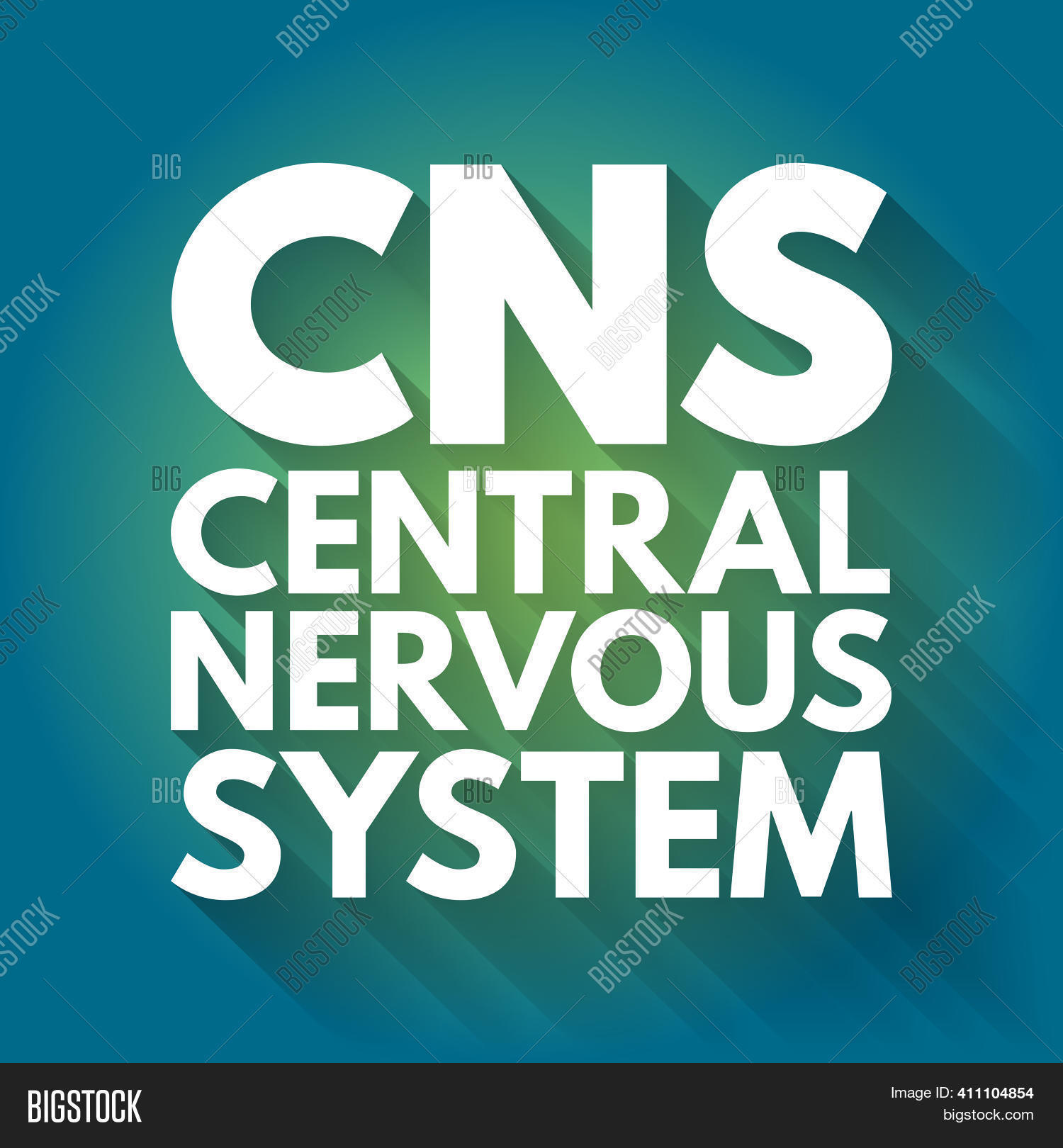 Cns - Central Nervous Image & Photo (Free Trial) | Bigstock
