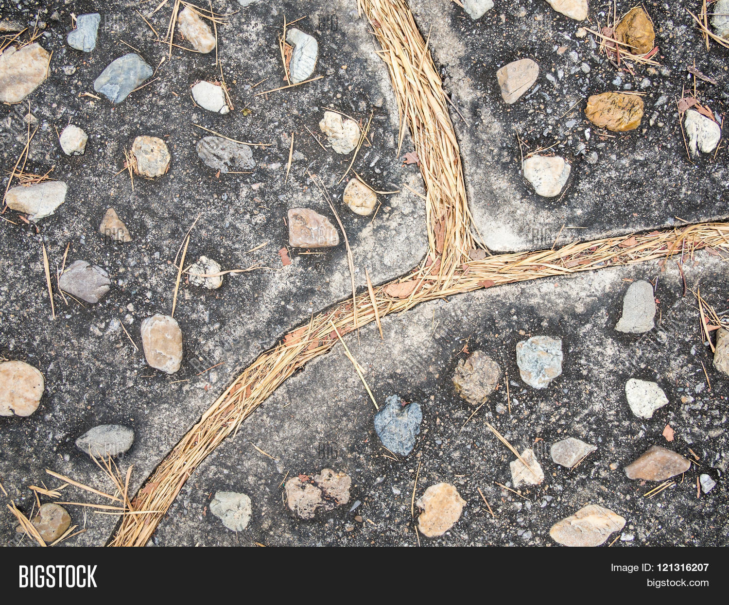 Stone Walk Path Curve Image & Photo (Free Trial) | Bigstock