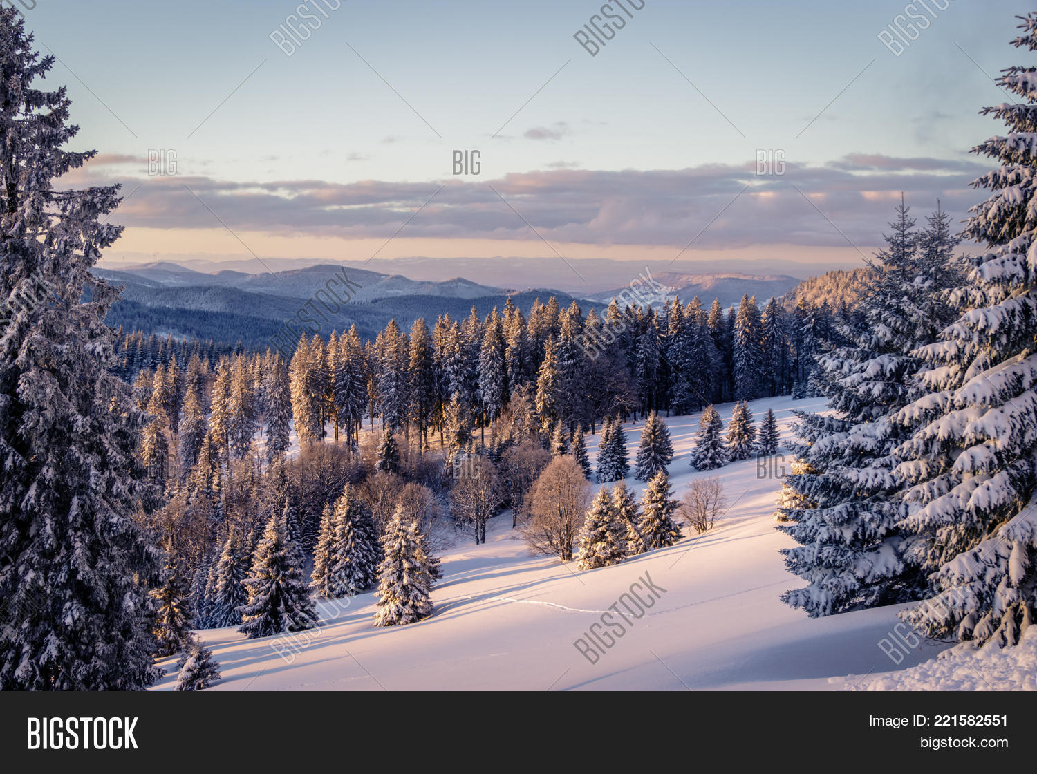 Early Morning Snow Image & Photo (Free Trial) | Bigstock