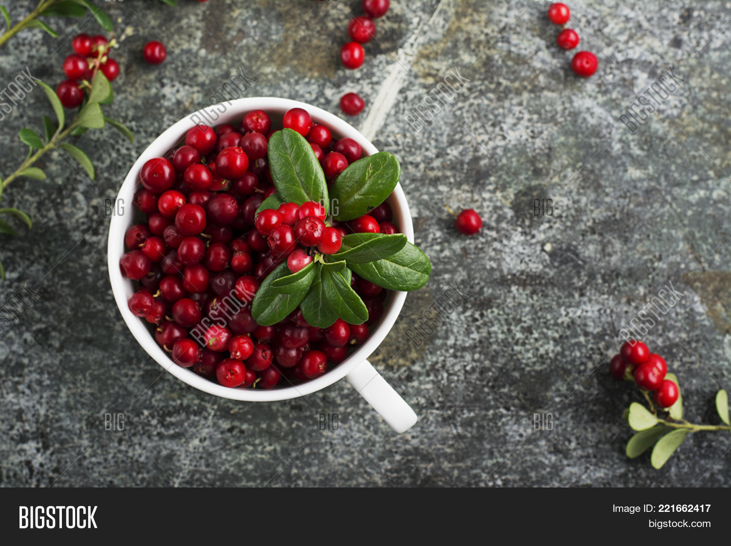 Fresh Ripe Forest Image & Photo (Free Trial) | Bigstock