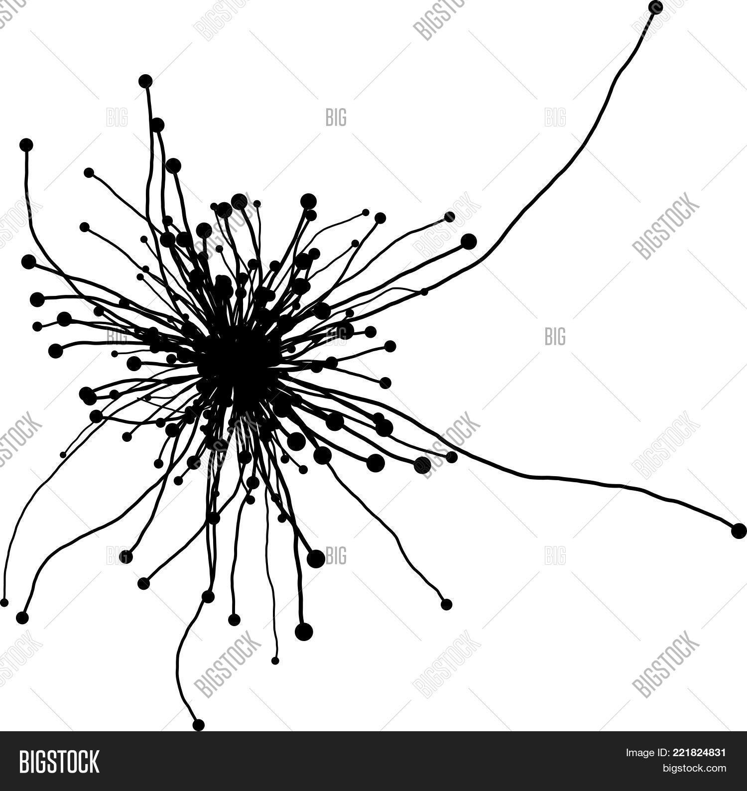 Vector Black White Vector & Photo (Free Trial) | Bigstock
