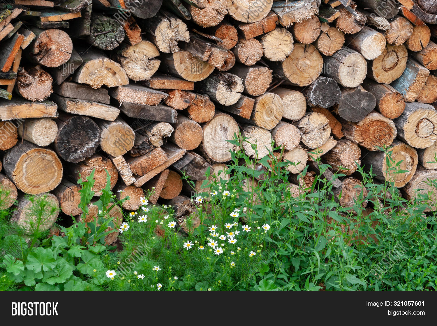 Picturesque Pile Wood Image & Photo (Free Trial) | Bigstock