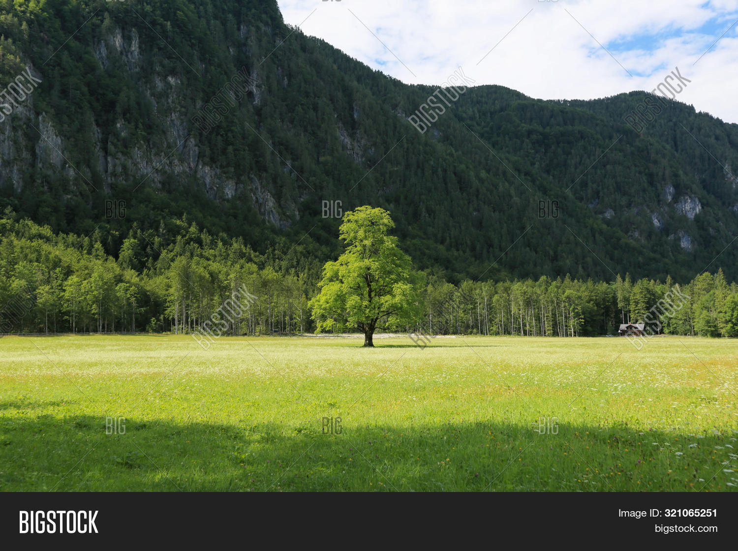 Beautifull Logar Image & Photo (Free Trial) | Bigstock