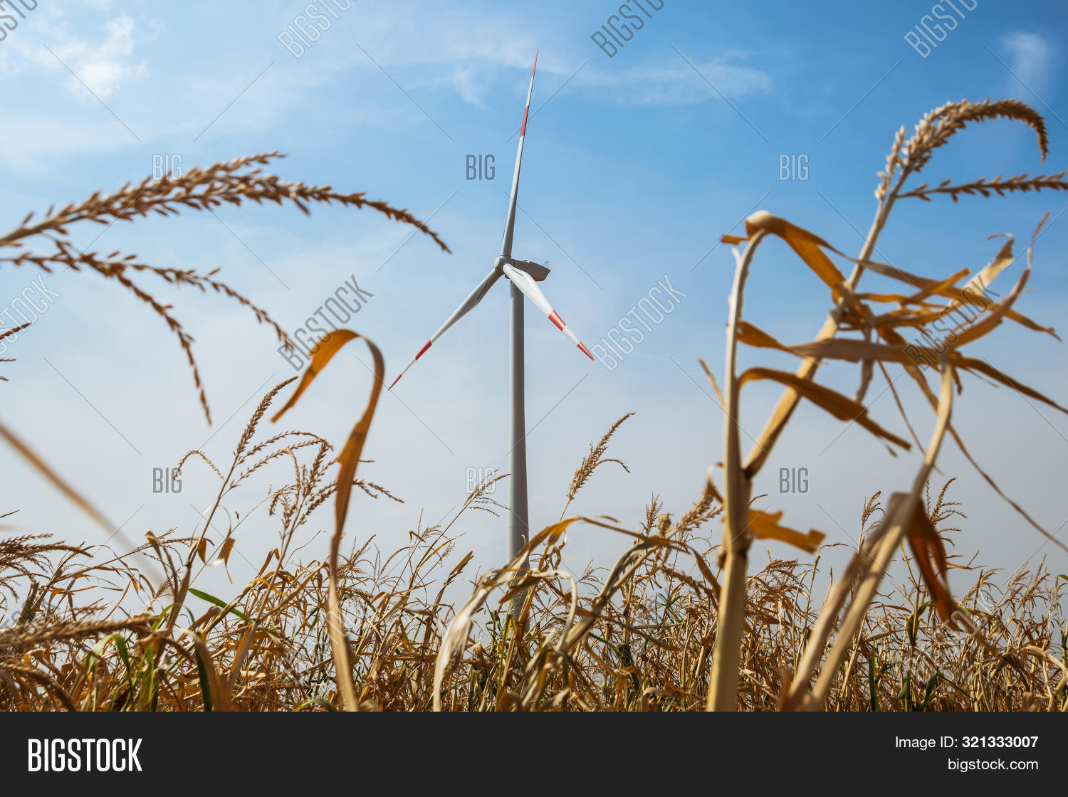 Windmill Agricultural Image & Photo (Free Trial) | Bigstock