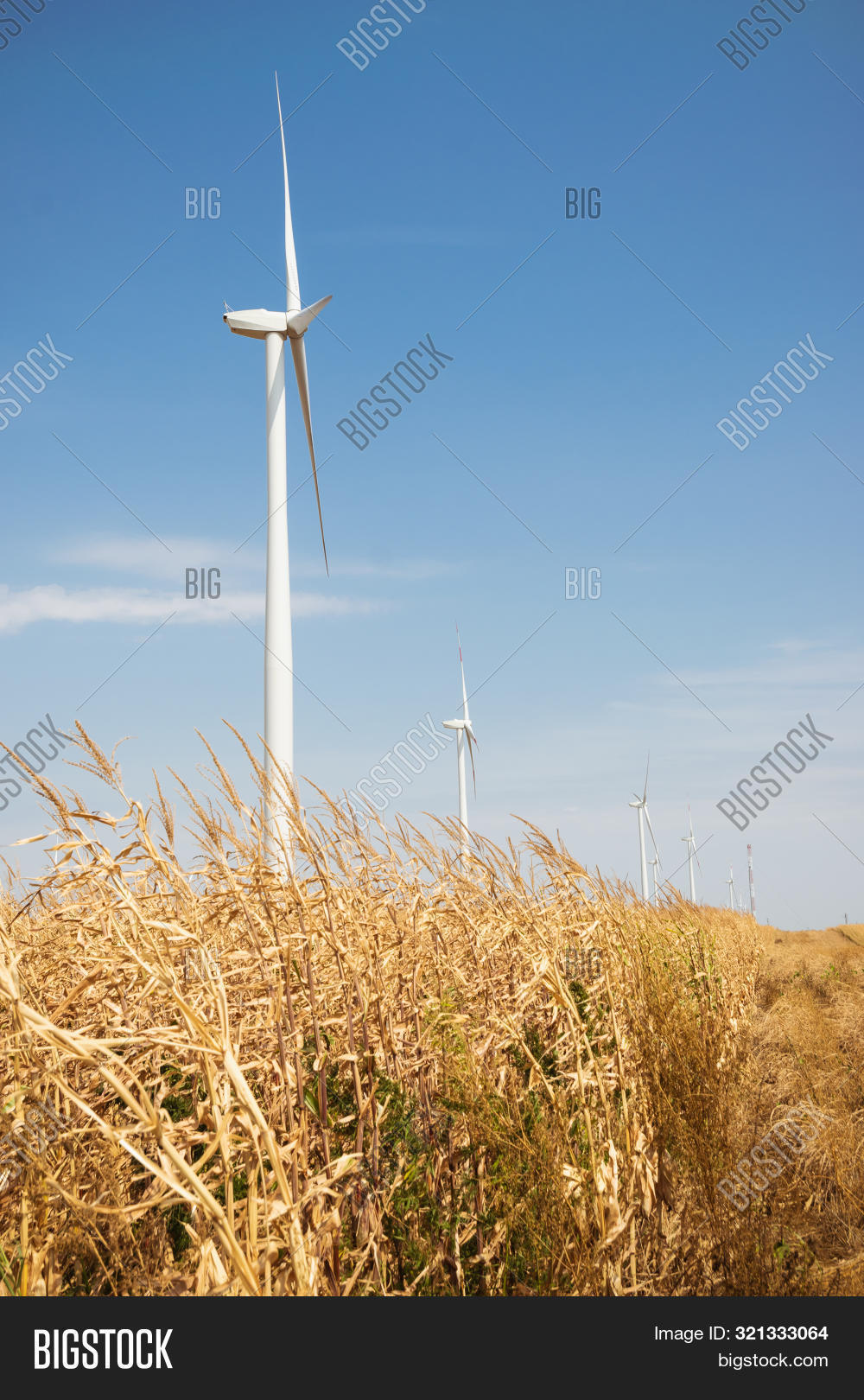 Windmill Agricultural Image & Photo (Free Trial) | Bigstock