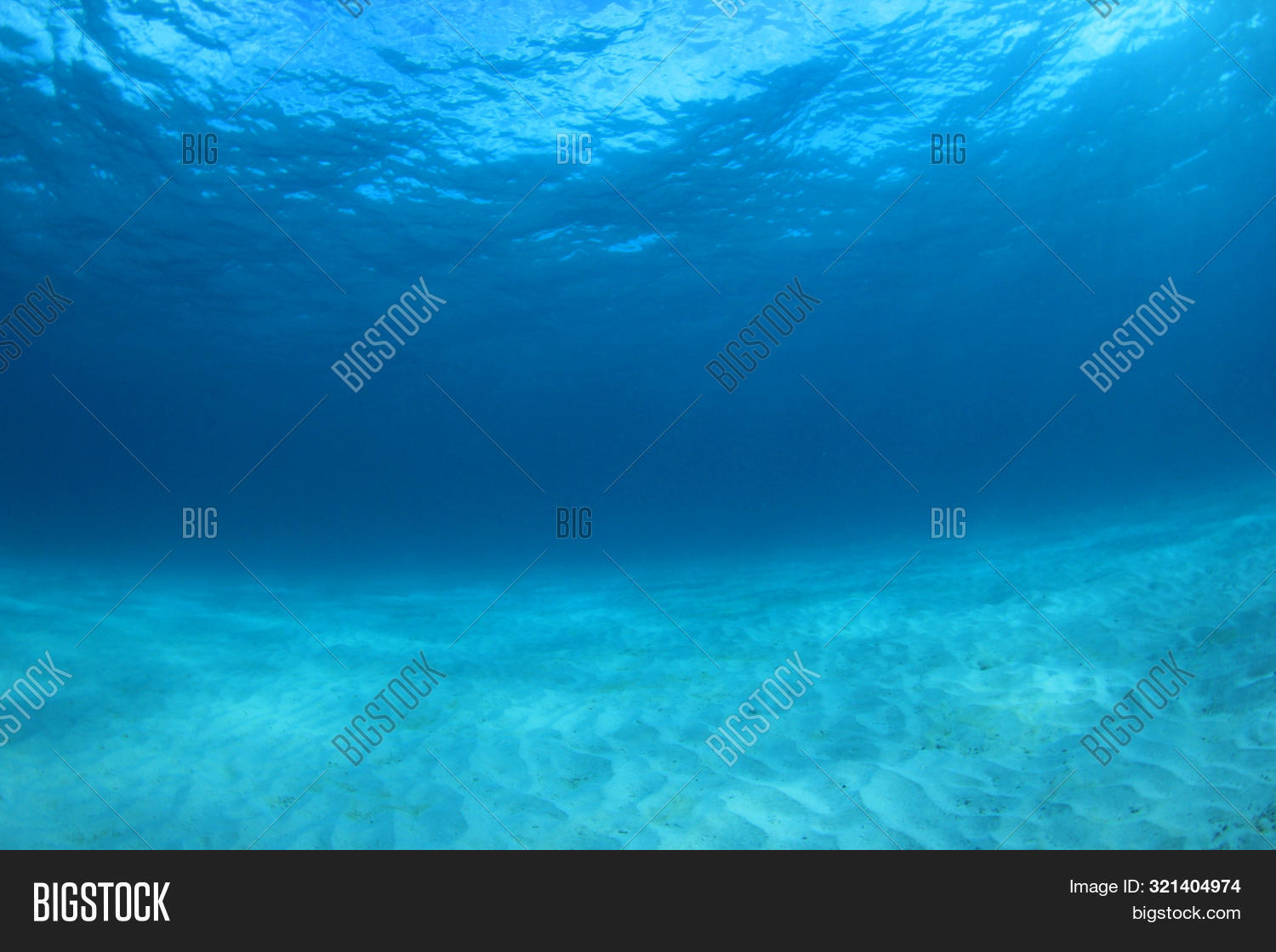 Underwater Blue Ocean Image & Photo (Free Trial) | Bigstock