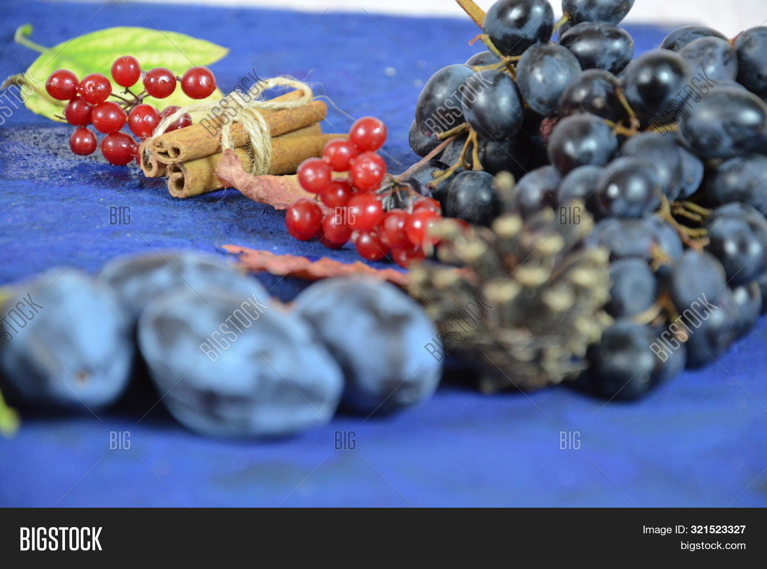 Autumn Harvest, Grapes Image & Photo (Free Trial) | Bigstock