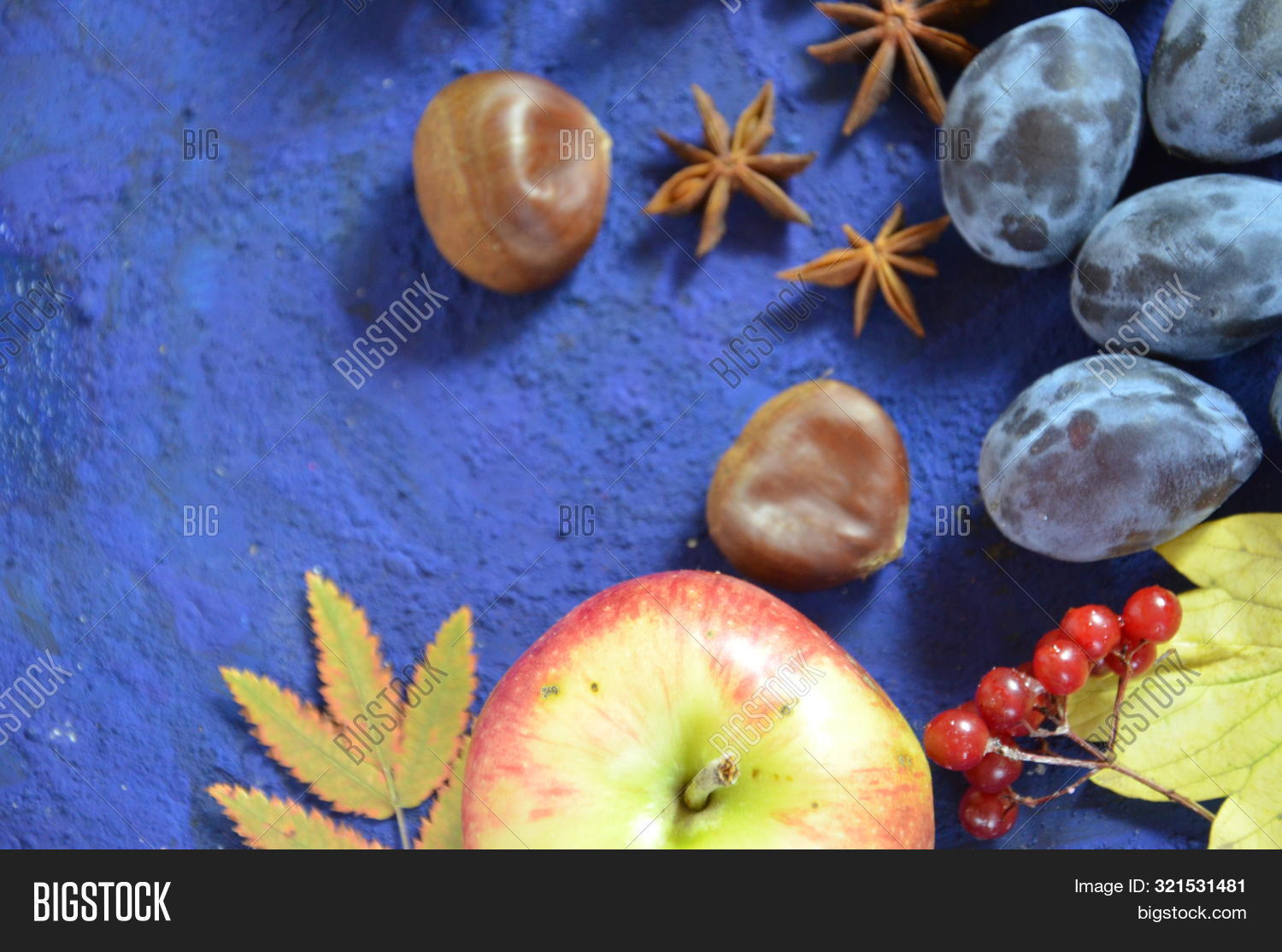 Autumn Harvest, Grapes Image & Photo (Free Trial) | Bigstock