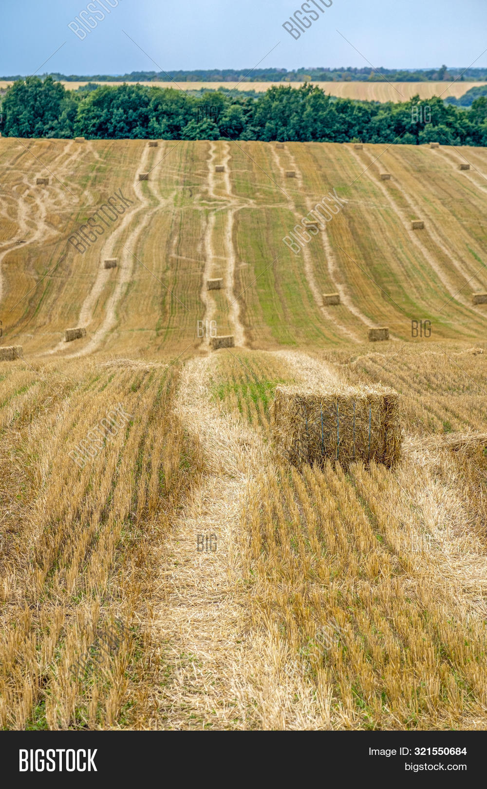 Rectangular Straw Image & Photo (Free Trial) | Bigstock
