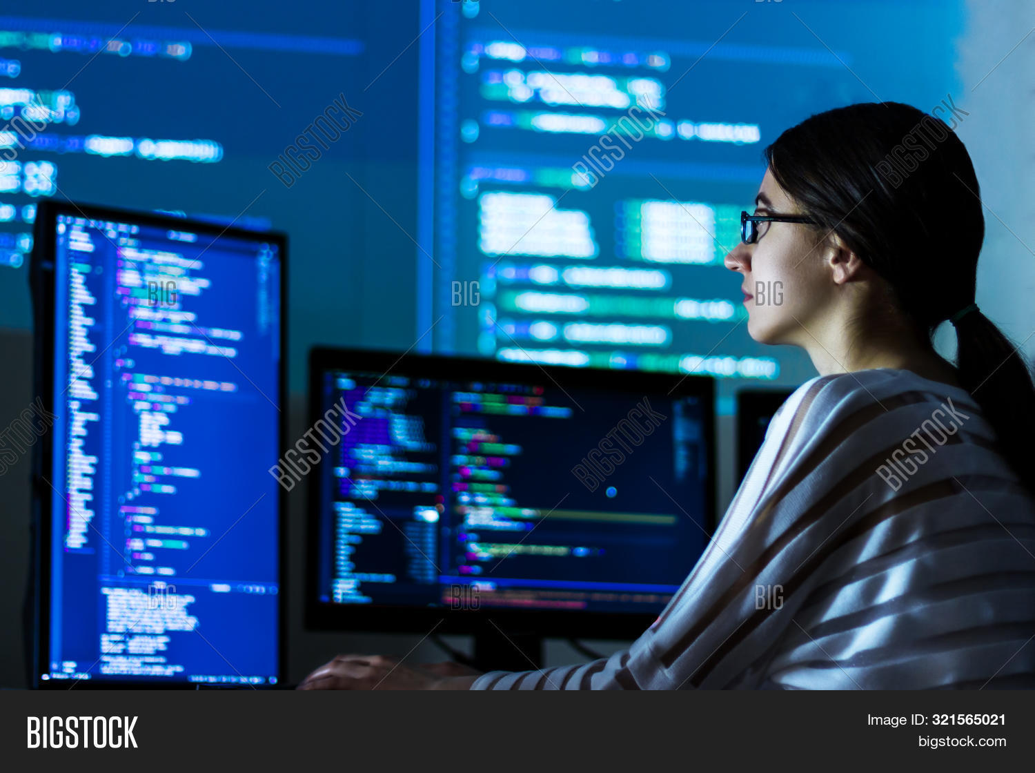 Software Developer Image & Photo (Free Trial) | Bigstock