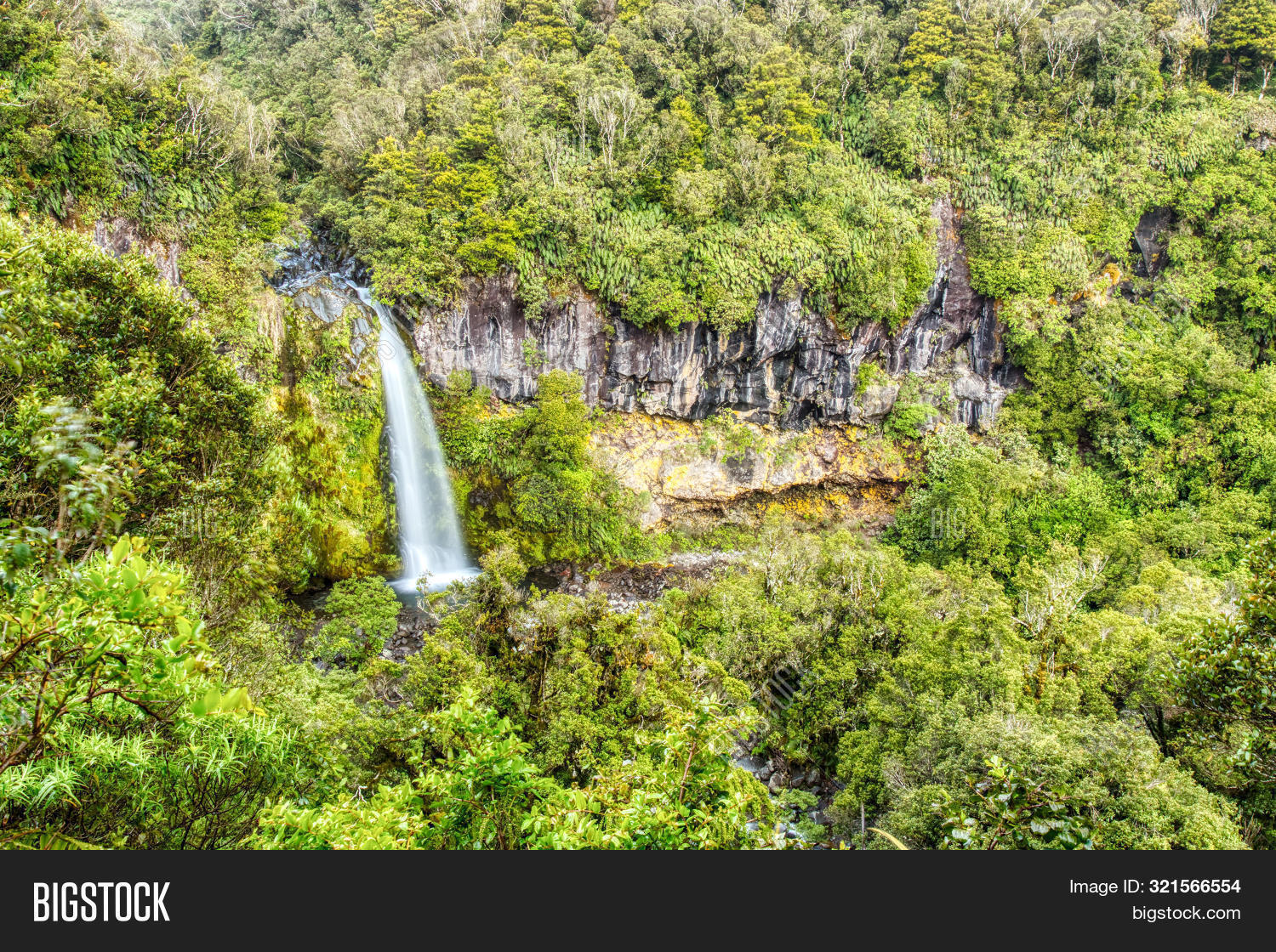 Beautiful Dawson Falls Image & Photo (Free Trial) | Bigstock