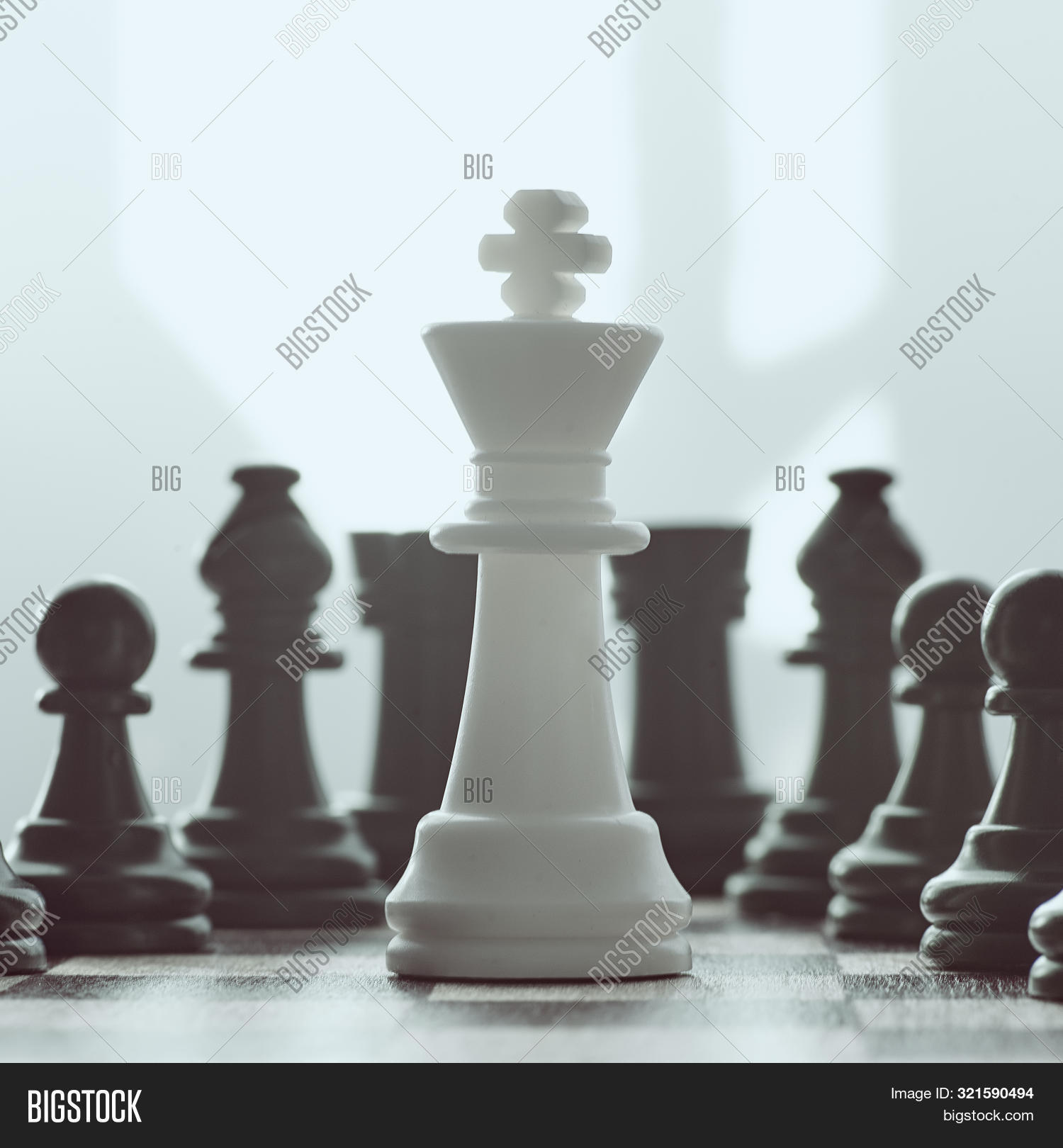 Single White King Image & Photo (Free Trial) | Bigstock