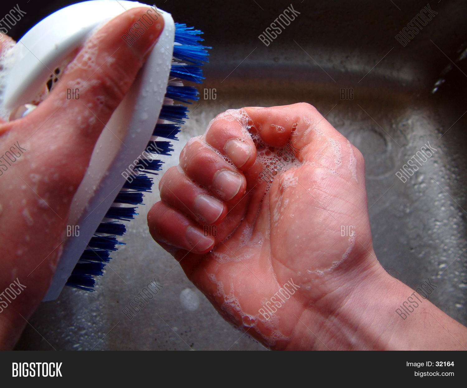 Scrub Image & Photo (Free Trial) | Bigstock