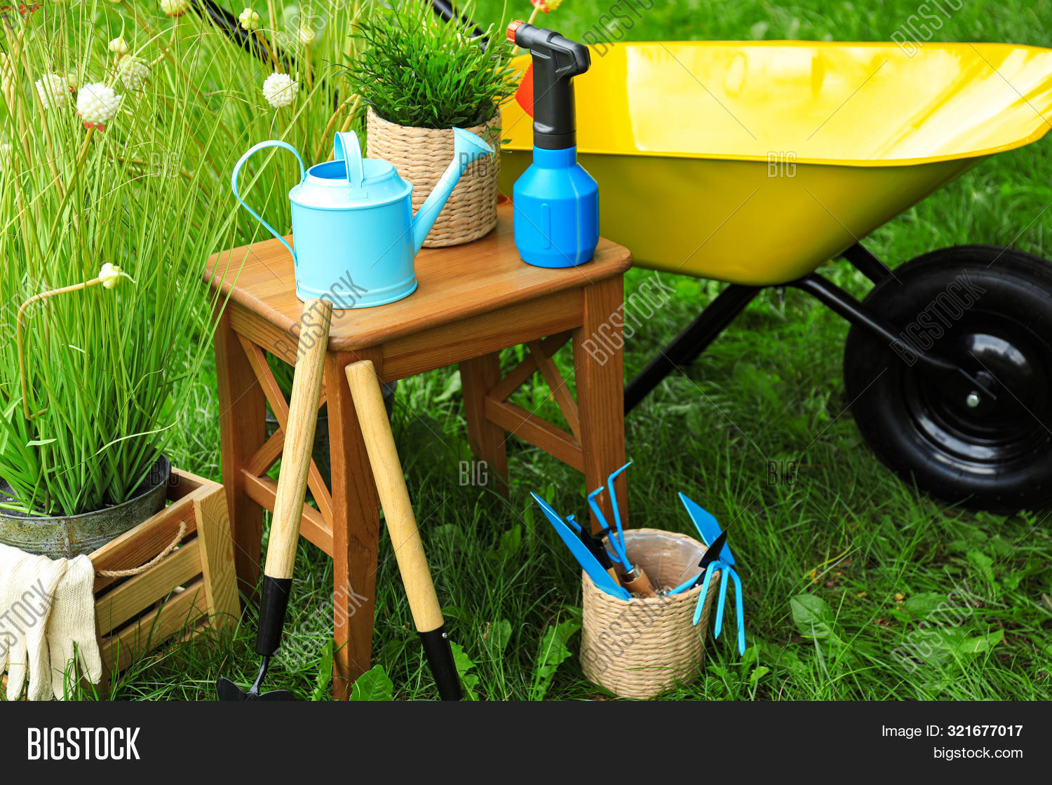 Composition Gardening Image & Photo (Free Trial) | Bigstock