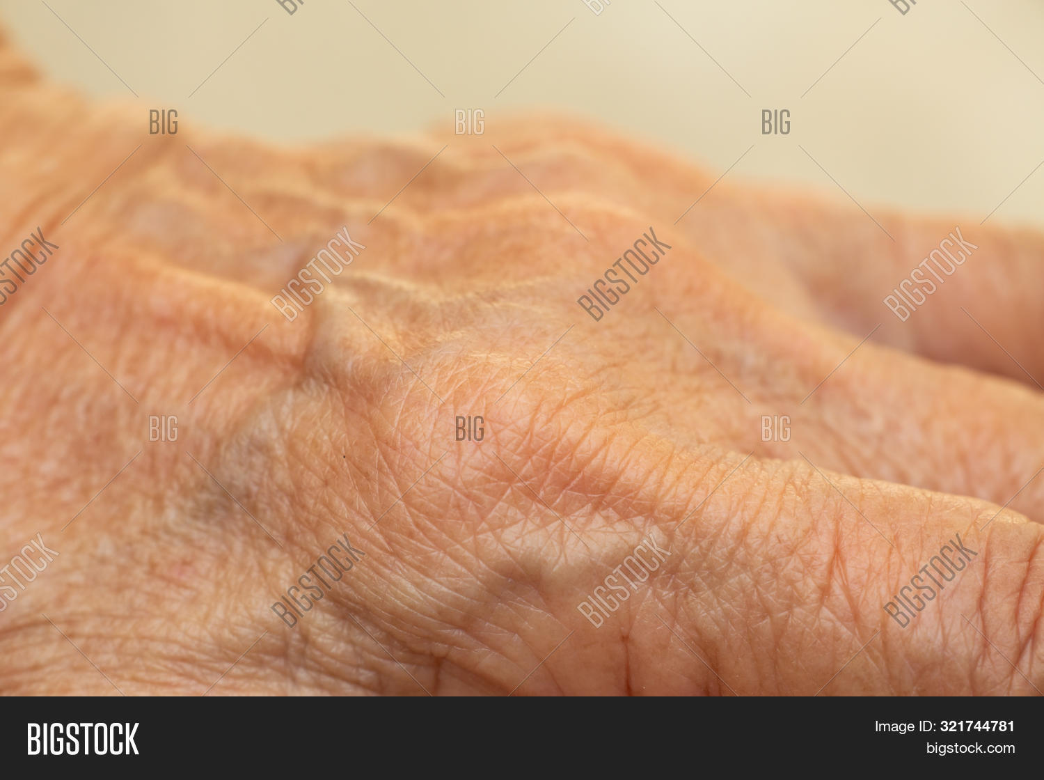 Senior Woman's Image & Photo (Free Trial) | Bigstock