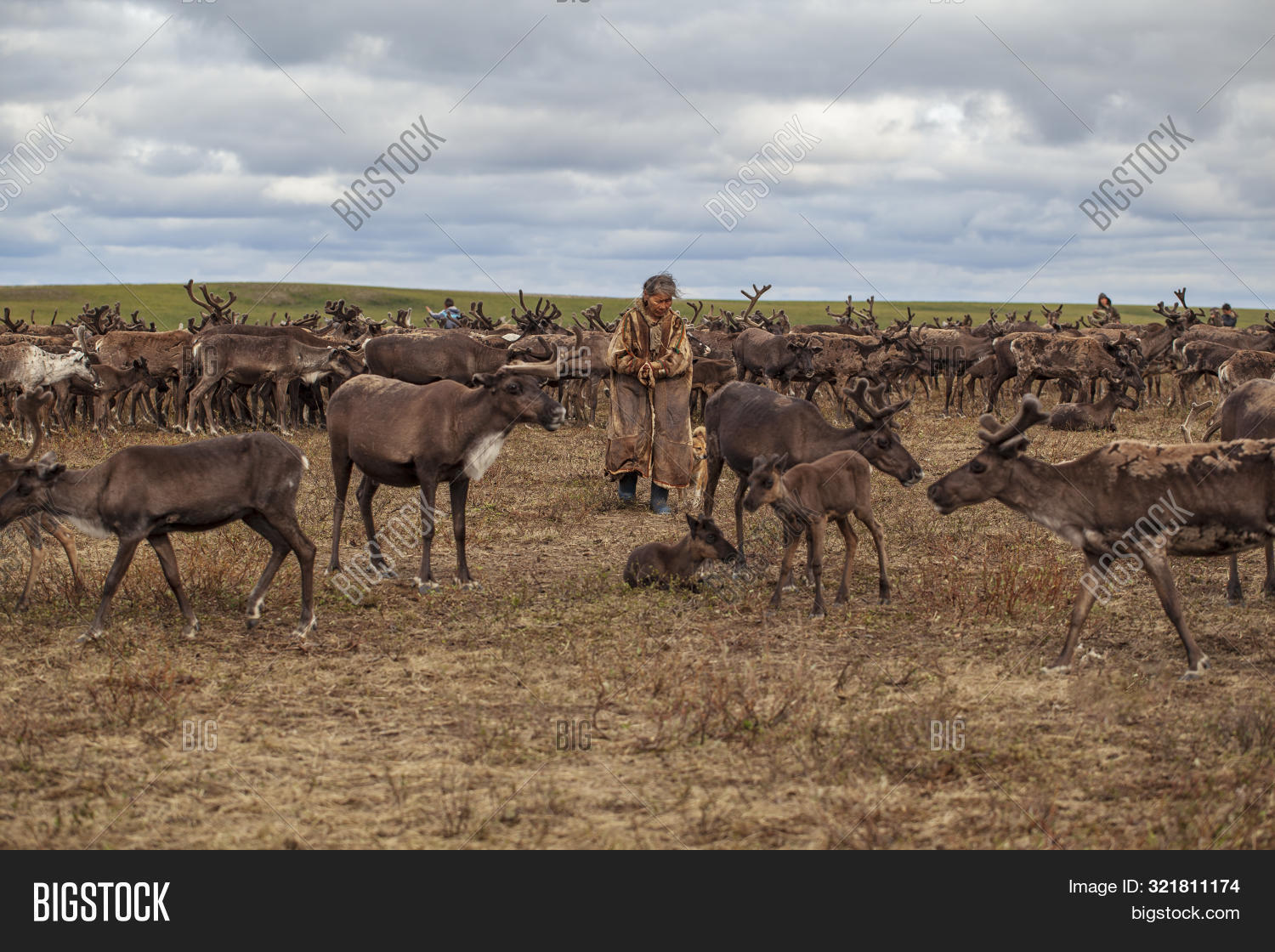 Nadym, Russia - August Image & Photo (Free Trial) | Bigstock