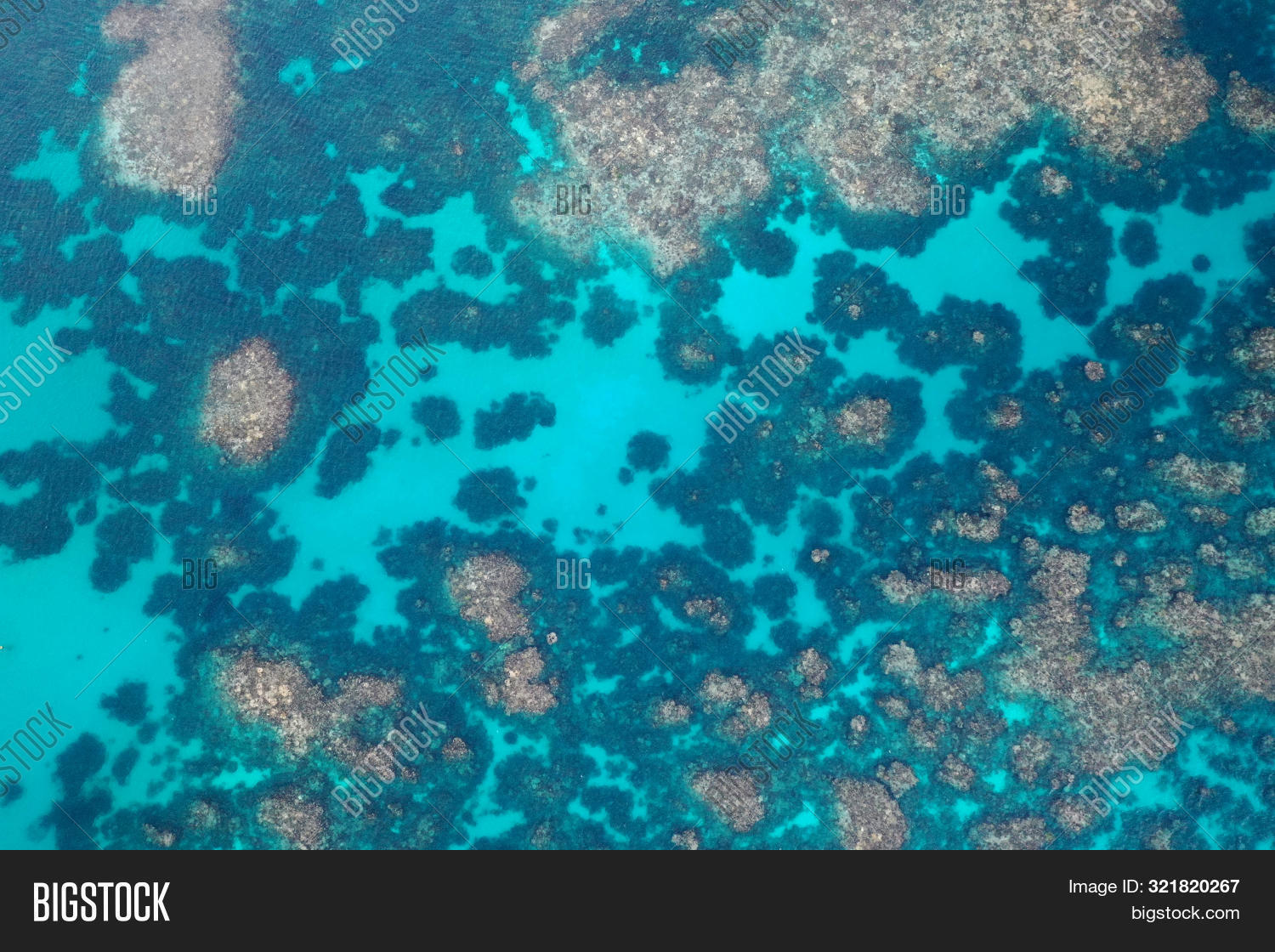 Coral Reef. Aerial Image & Photo (Free Trial) | Bigstock