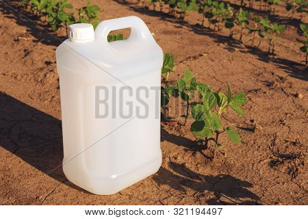 Soybean Crop Image & Photo (Free Trial) | Bigstock
