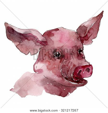 Pig Head Farm Animal Image & Photo (Free Trial) | Bigstock