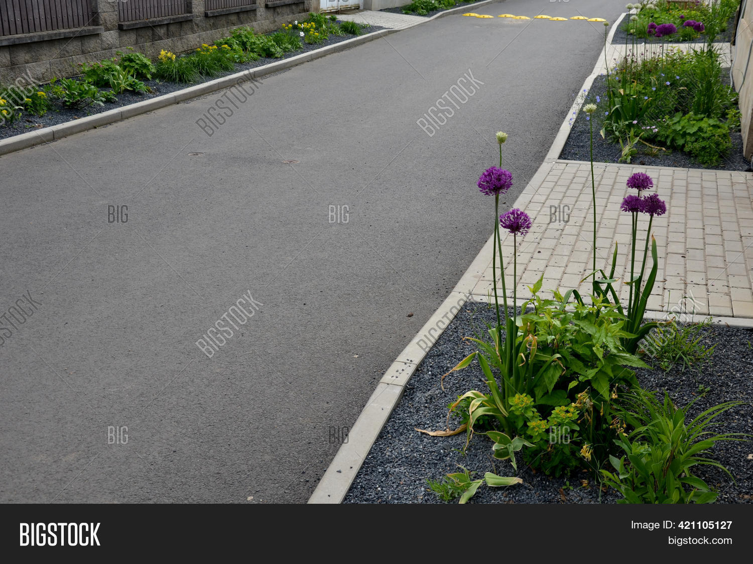 Bed Colorful Prairie Image & Photo (Free Trial) | Bigstock