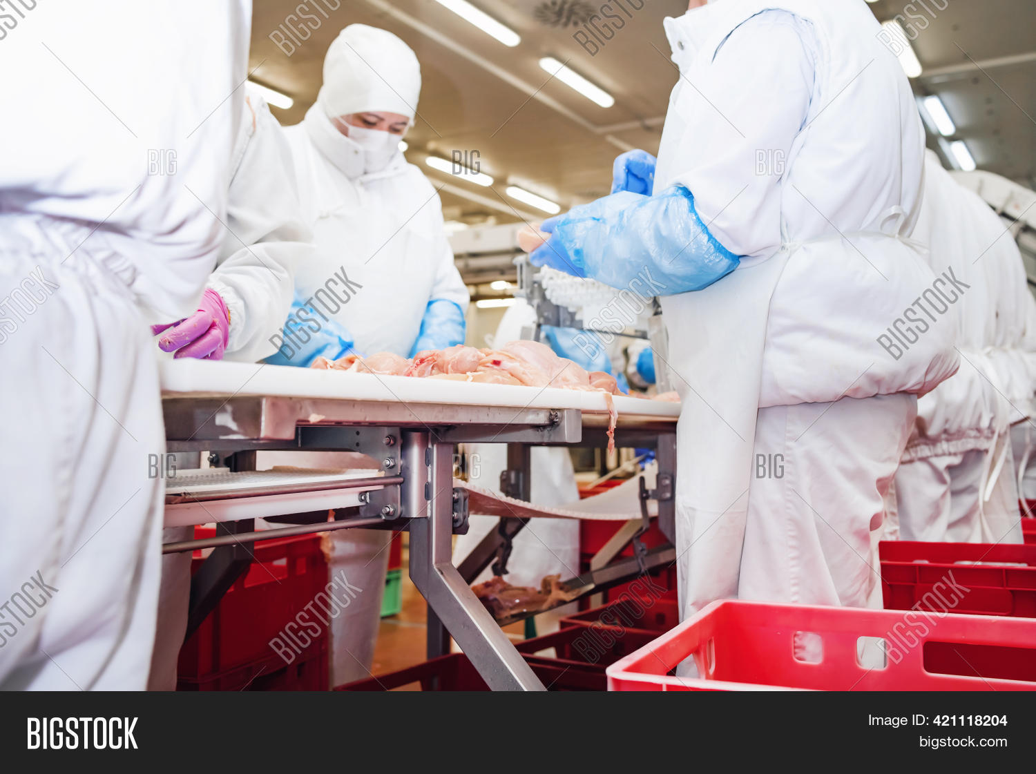 Production Line Image & Photo (Free Trial) | Bigstock