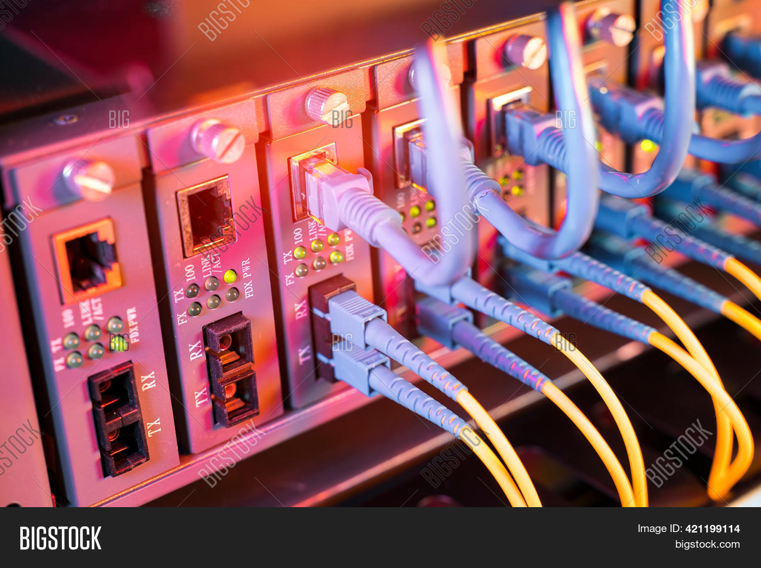 Fiber Optical Cables Image & Photo (Free Trial) | Bigstock