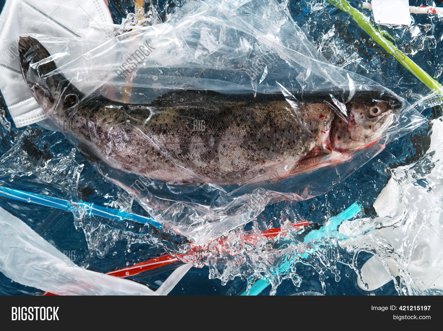 Polluted Ocean Fish