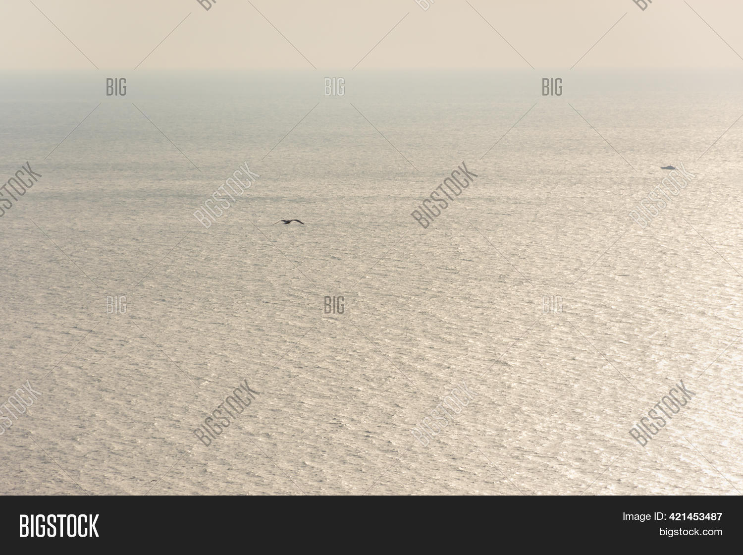 Grey Sea Background Image & Photo (Free Trial) | Bigstock