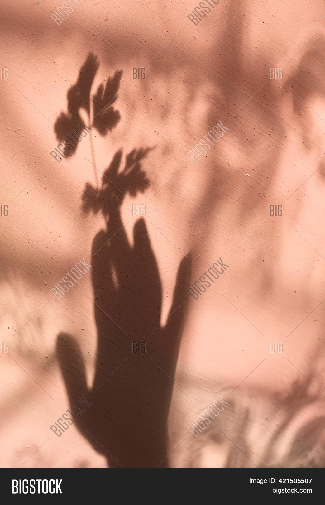 Blurred Shadow Female Image & Photo (Free Trial) | Bigstock
