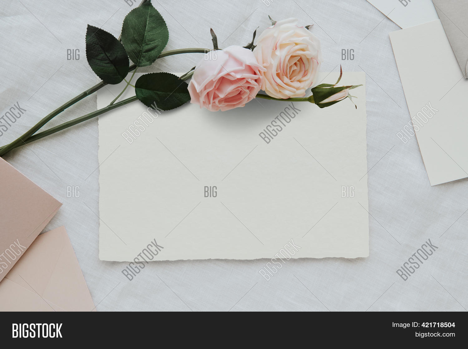 Blank White Card Image & Photo (Free Trial) | Bigstock