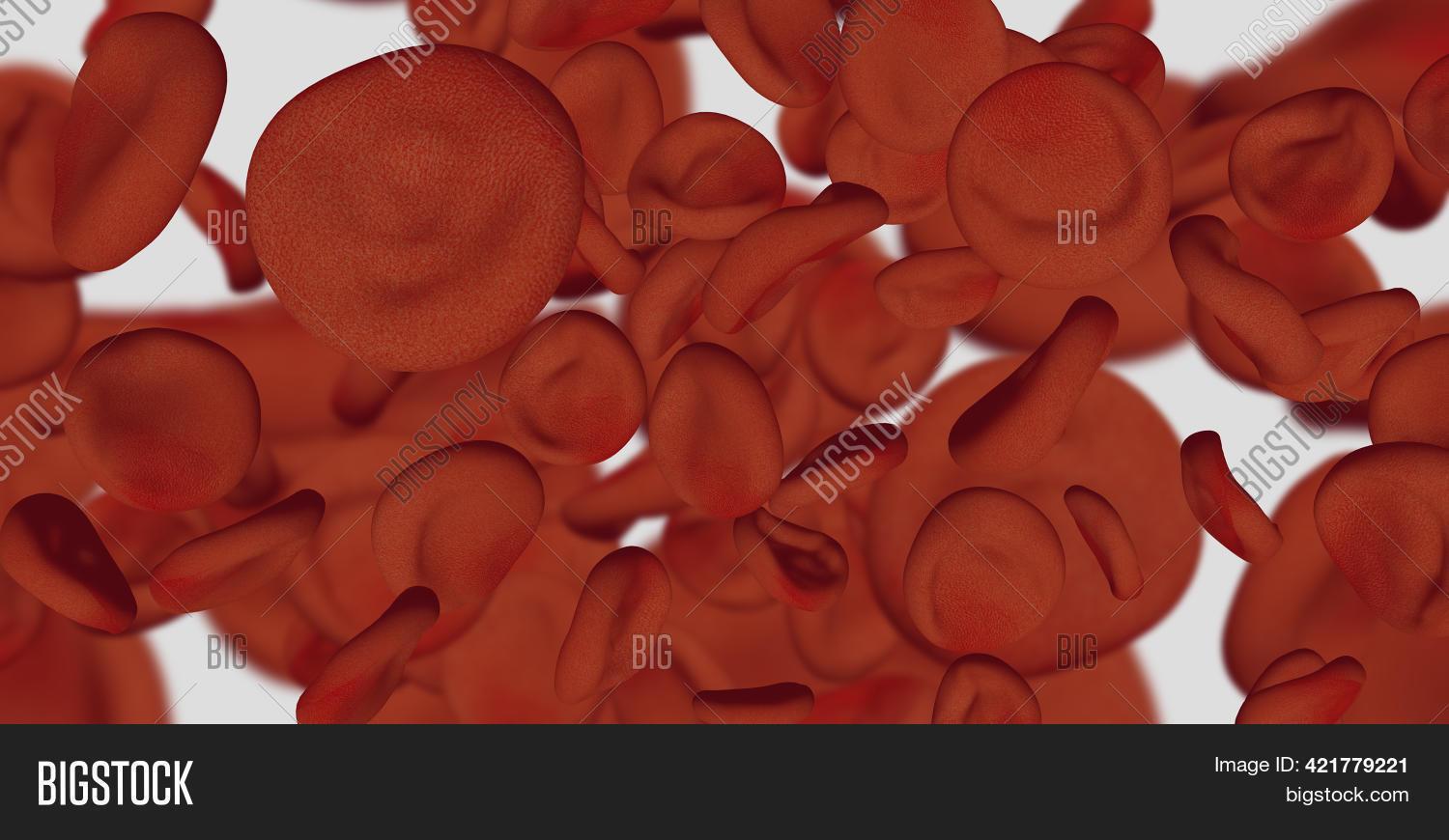 Erythrocyte Red Blood Image & Photo (Free Trial) | Bigstock