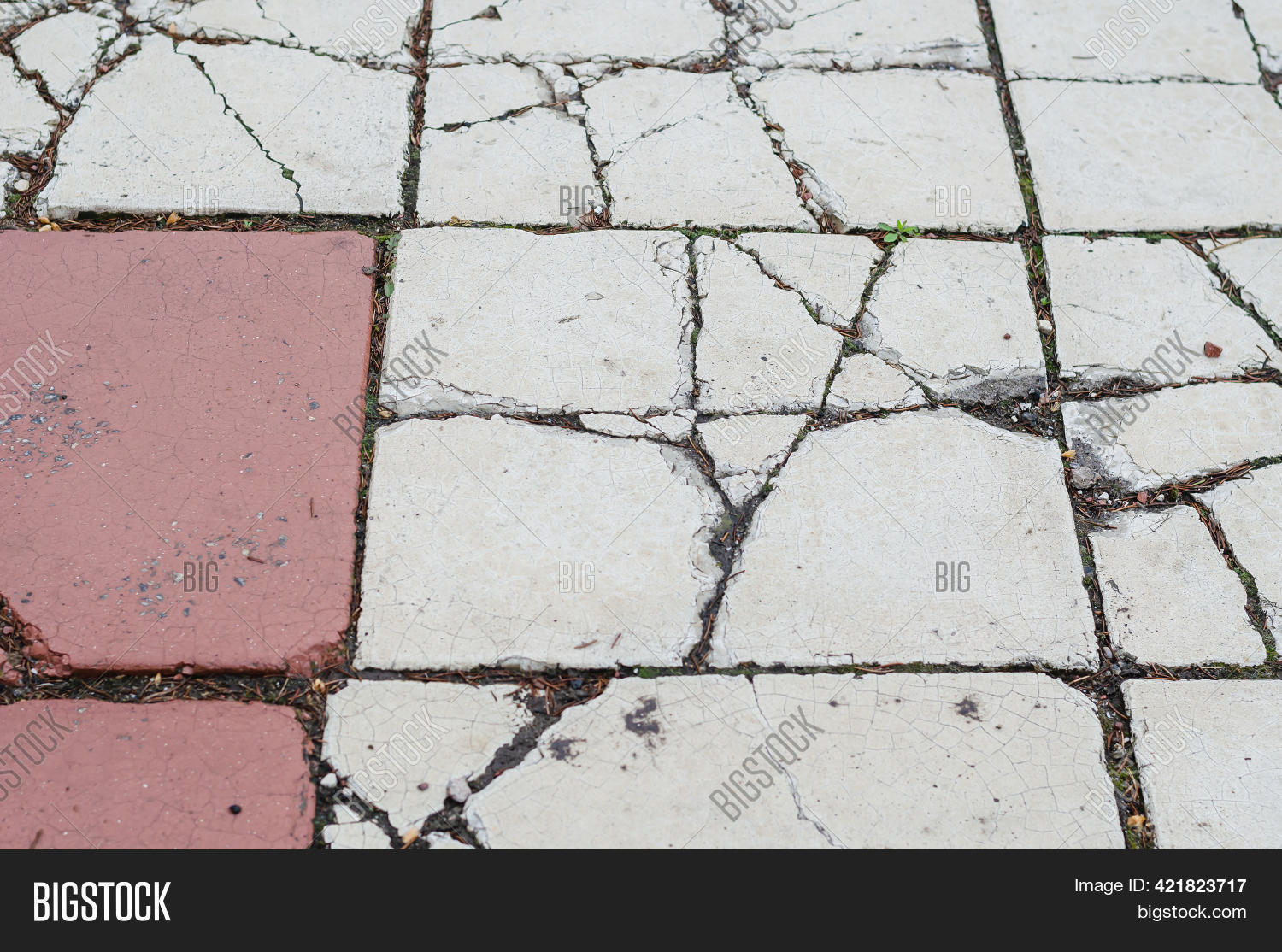 Old Cracked Paving Image & Photo (Free Trial) | Bigstock