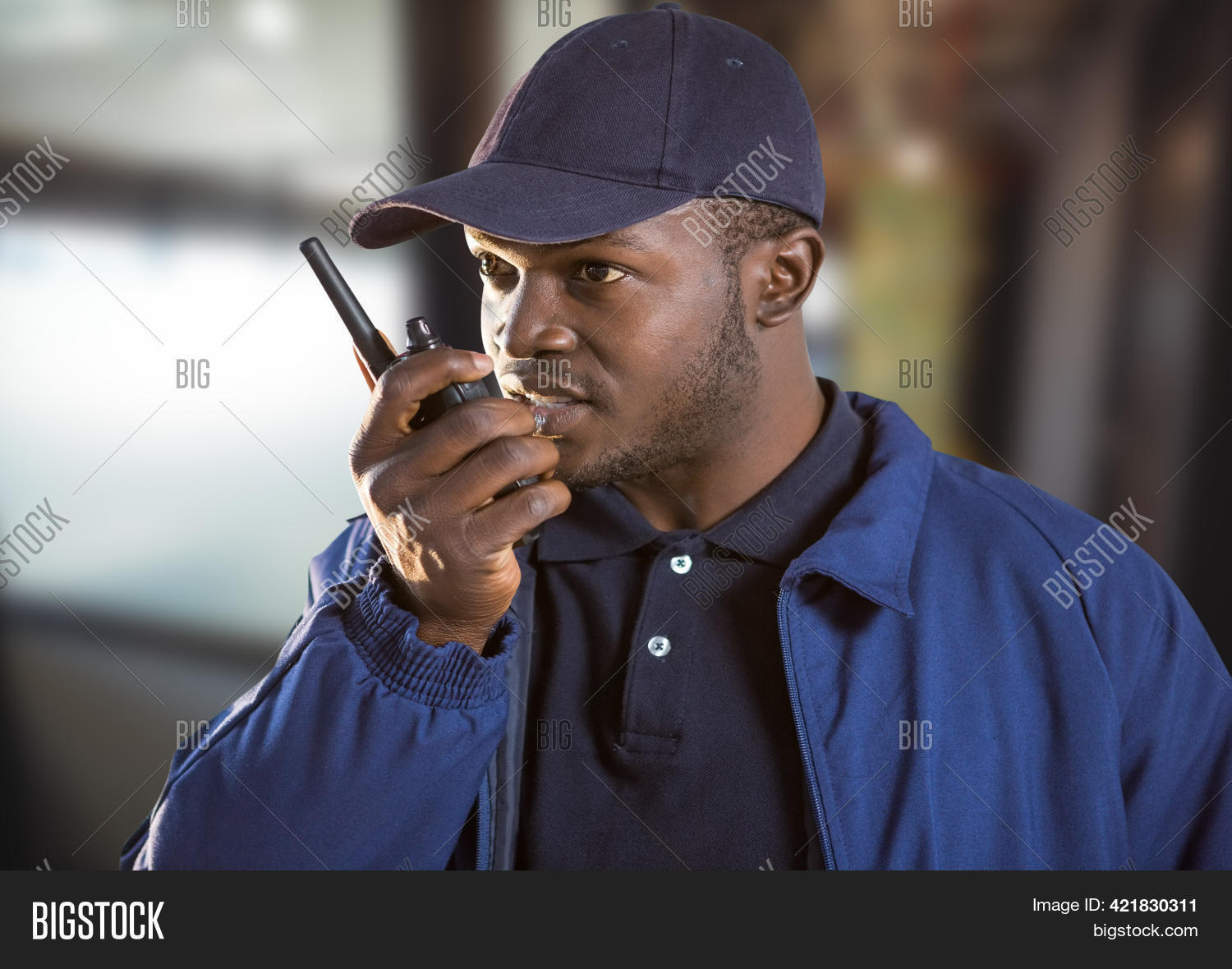 Composition 图片和照片（免费试用） | Bigstock