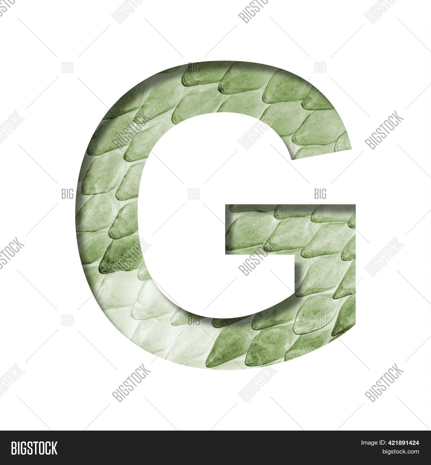 Snake Scales Font. Image & Photo (Free Trial) | Bigstock