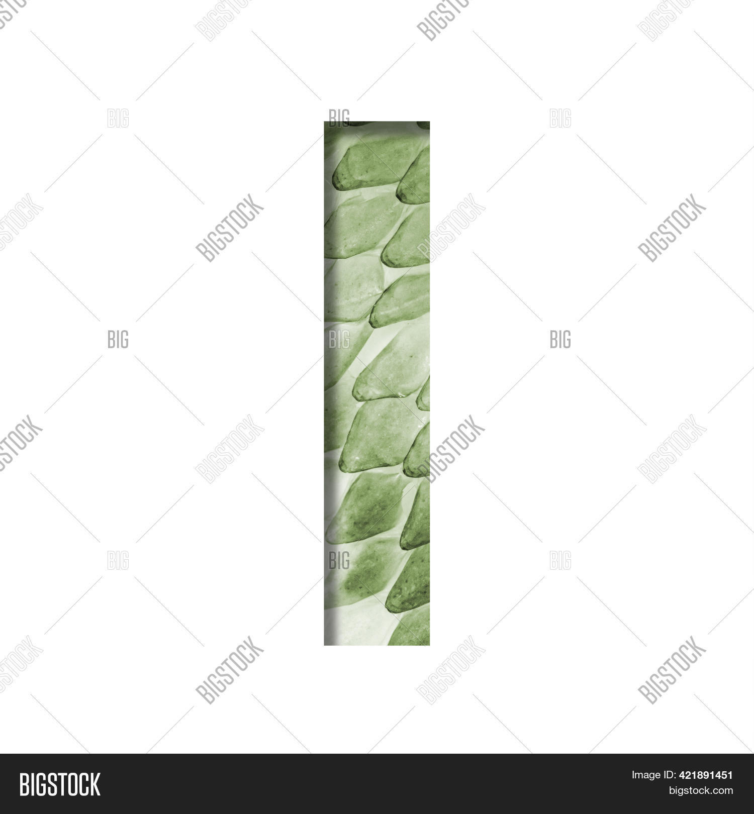 Snake Scales Font. Image & Photo (Free Trial) | Bigstock