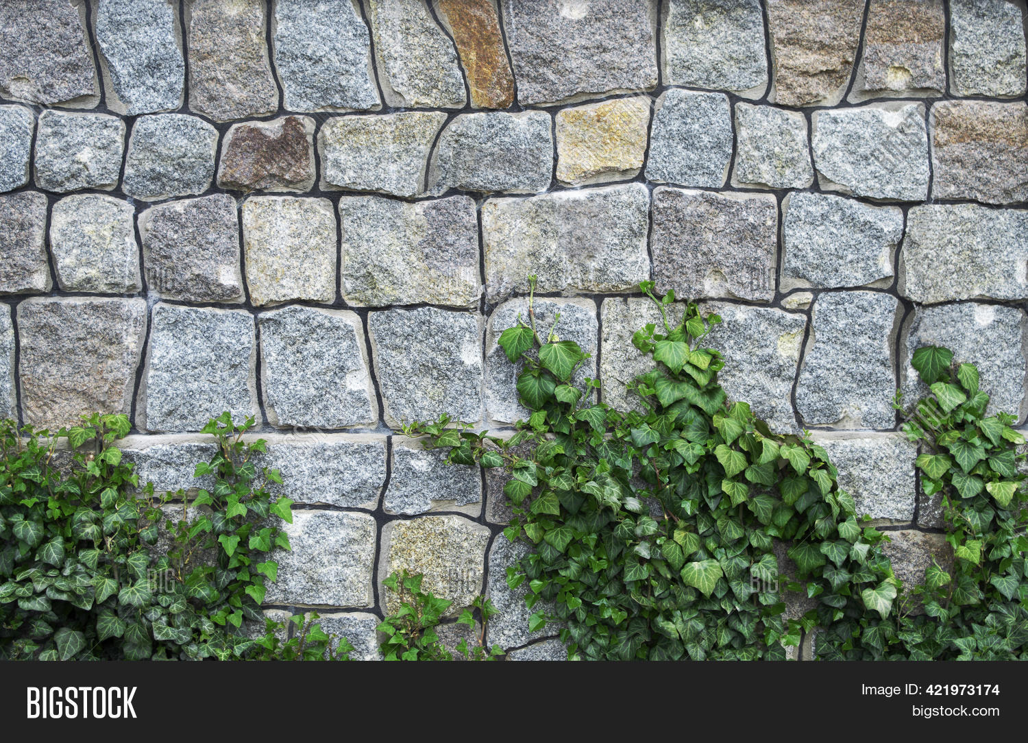 Overgrown Brick Wall Image & Photo (Free Trial) | Bigstock